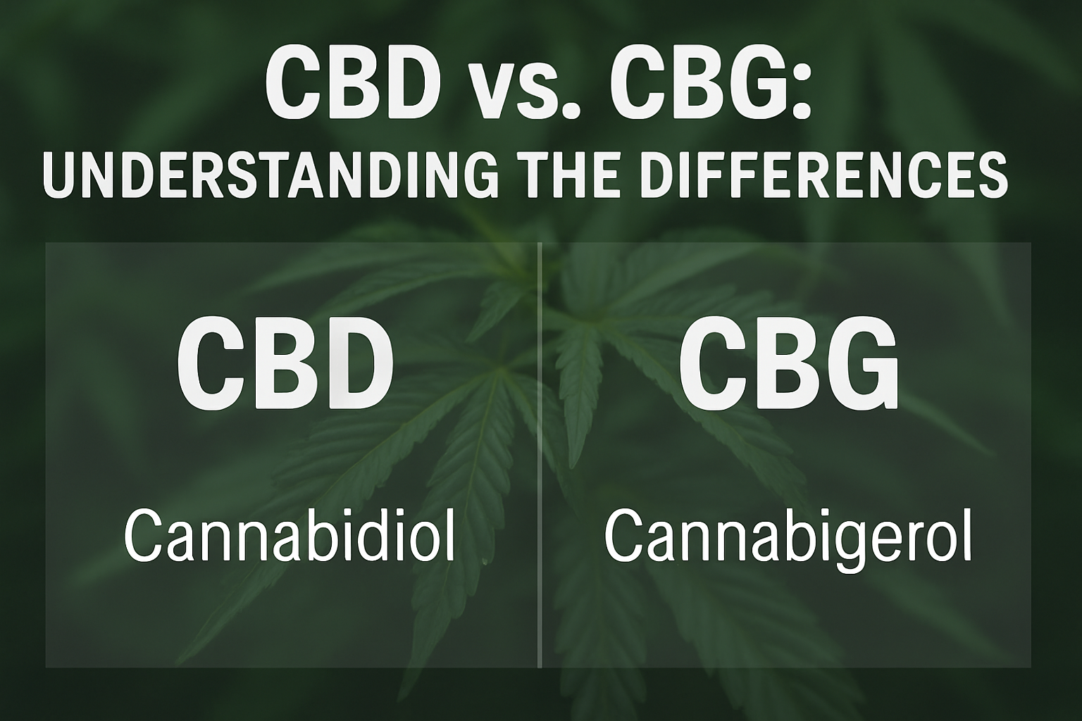 CBD vs. CBG: Understanding the Differences – Public Hemp Mfg.